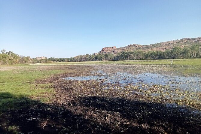 Kakadu Day Tour-Yellow Water-Nourlangie-Ubirr-Cahills-Fogg Dam - The Value Proposition