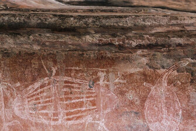 Kakadu National Park Full Day Tour - Sacred Owl Tours - Tour 3A - An In-Depth Look at the Kakadu Full-Day Tour