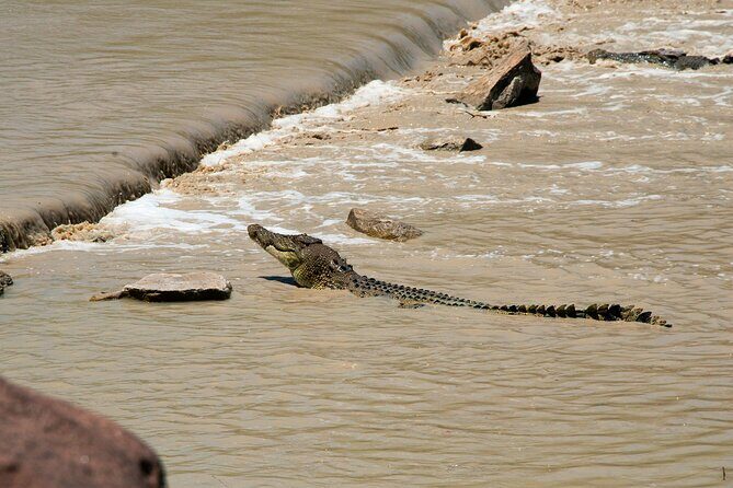 Kakadu National Park Full Day Tour - Sacred Owl Tours - Tour 3A - The Verdict