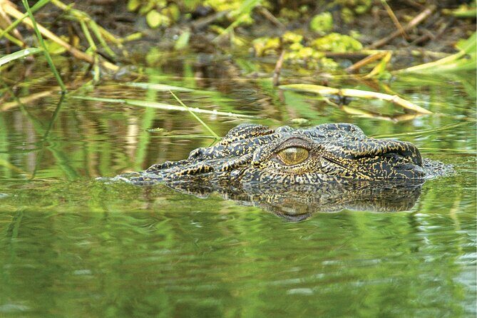 Kakadu National Park Full Day Tour - Sacred Owl Tours - Tour 3A - Frequently Asked Questions
