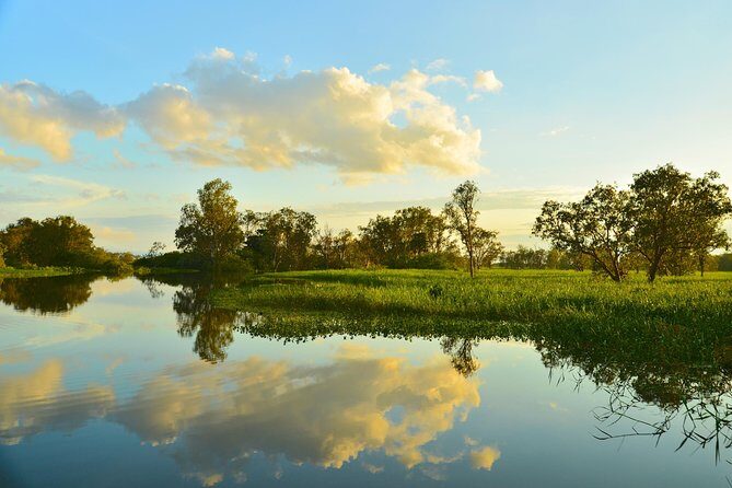Kakadu National Park Scenic Flight &Yellow Water Cruise - Price and Value: Is It Worth It?