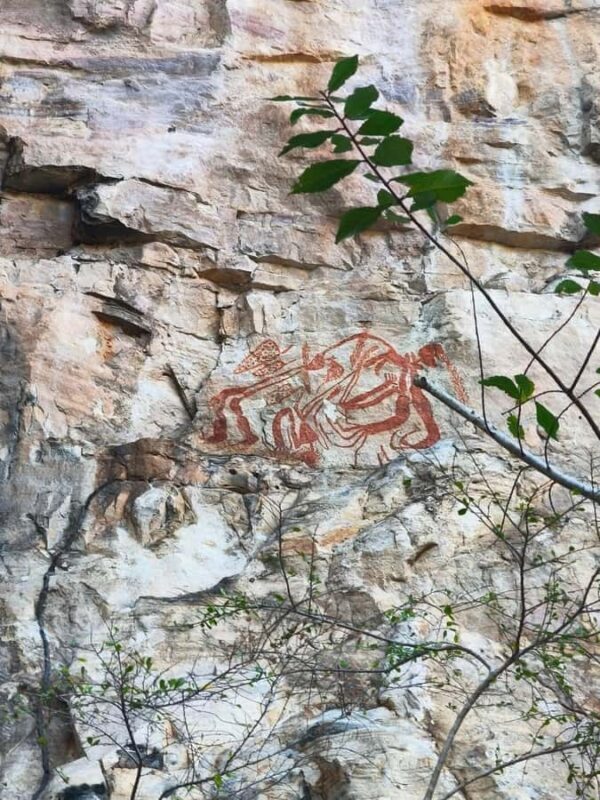 Kakadu: Private Wet Season Tour with Cruise & Helicopter - Exploring Kakadu’s Wet Season: A Private Tour of Nature and Culture