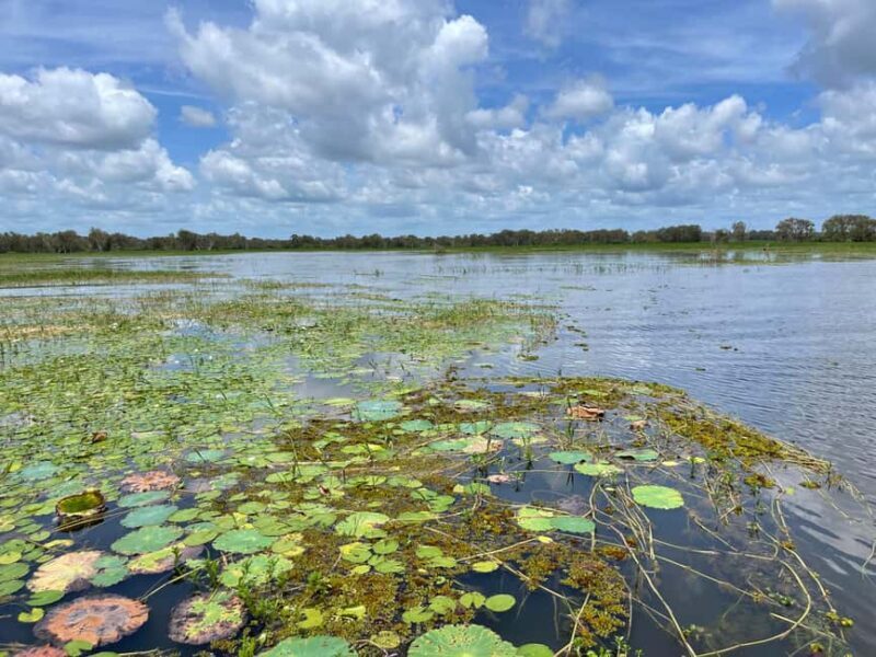 Kakadu VIP Backpackers - A Closer Look at the Itinerary and Highlights