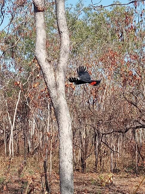 Kakadu VIP Backpackers - Transportation and Group Size