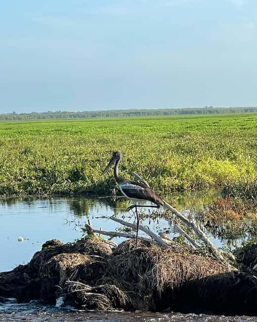 Kakadu VIP Backpackers - The Itinerary Breakdown
