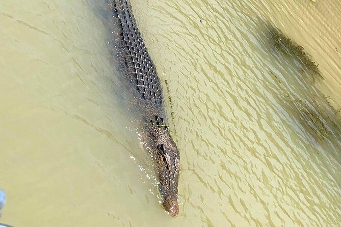 Kakadu Yellow Waters Cruise & Katherine Gorge Helicopter Scenic - The Itinerary: What Makes Each Stop Special