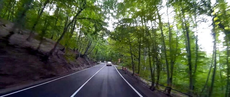 Kakheti, Culture Day Tour Sighnaghi Bodbe & Telavi Free Wine - Transport, Guides, and Cost
