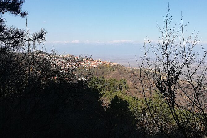 Kakheti Full Day Private Tour - Strolling Through Sighnaghi: The “City of Love”