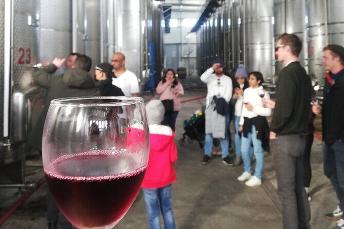 Kakheti Full Day Private Tour - Underground Wine Cellar at Tunnel Winery Khareba’s