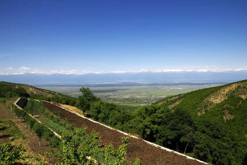 Kakheti & Sighnaghi Private Guided Day Trip with Wine - The Sum Up