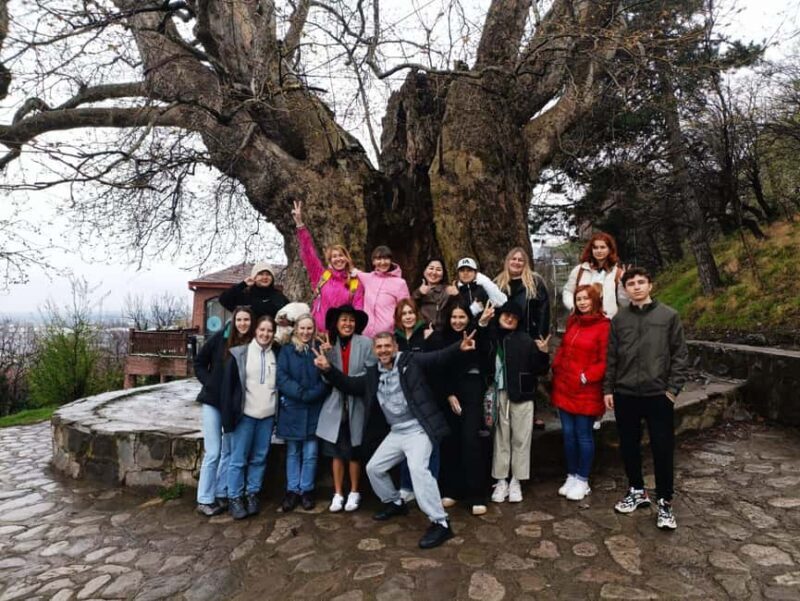 Kakheti: wine region and free wine tasting - Who Should Take This Tour?