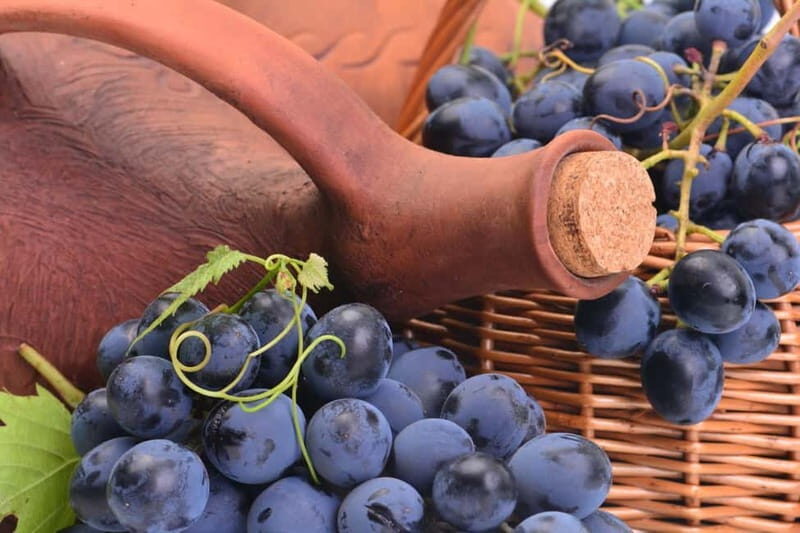 Kakheti Wine Tour - Explore the Art of Kvevri Winemaking - Who Will Love This Tour?
