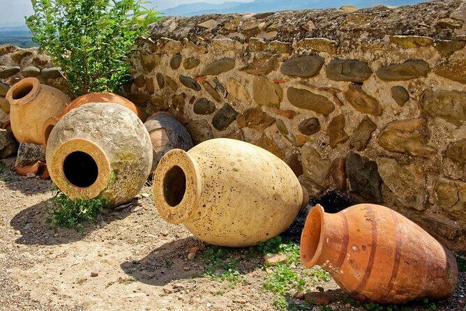 Kakheti Wine Tour for beginners - 3 wineries - Who Should Consider This Tour?