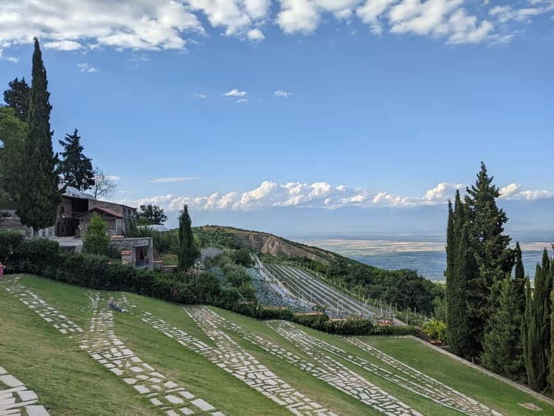 Kakheti: Wine tour from Tbilisi - Enjoy 6 sorts of wine - Key Points