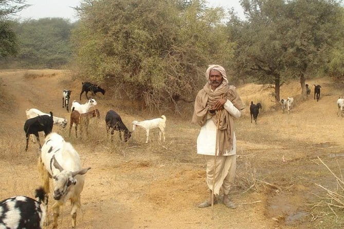 Kalakho abhaneri Organic Retreat from Jaipur - Key Points