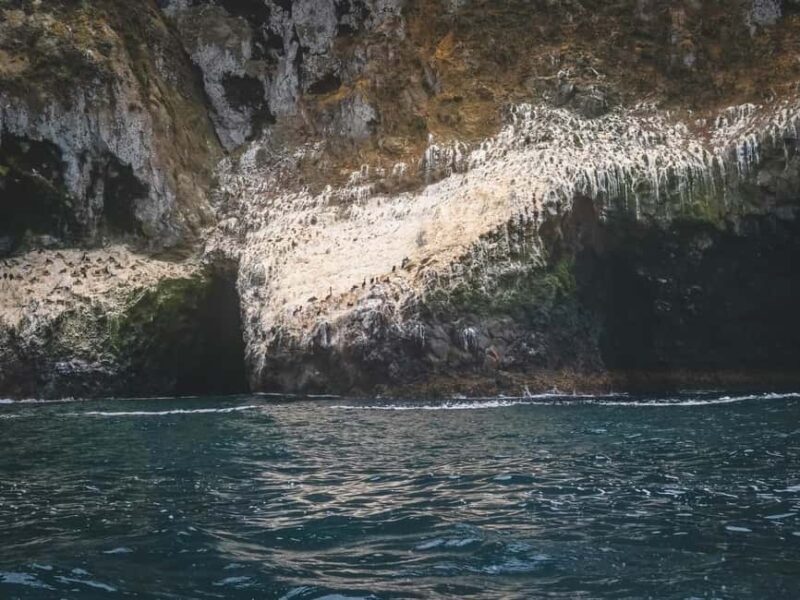 Kalamata: 5H Diros Caves & Limeni Dinner Tour - Introduction: An Authentic Peek into Mani’s Hidden Gems