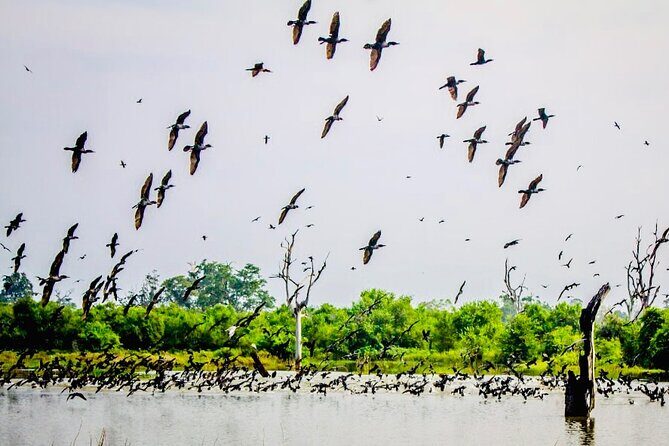 Kalametiya Bird Sanctuary Catamaran Bird Watching Tour - Final Thoughts: Is It Worth It?