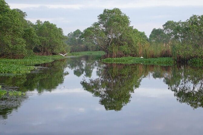 Kalametiya Bird Sanctuary Tour from Yala - Who Will Love This Tour?