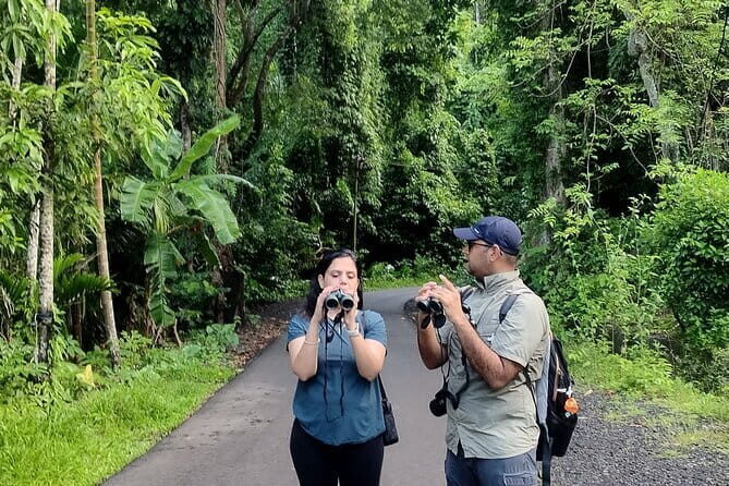 Kalapathar Sunrise, Birdwatching and Village Tour - Who Will Love This Tour?