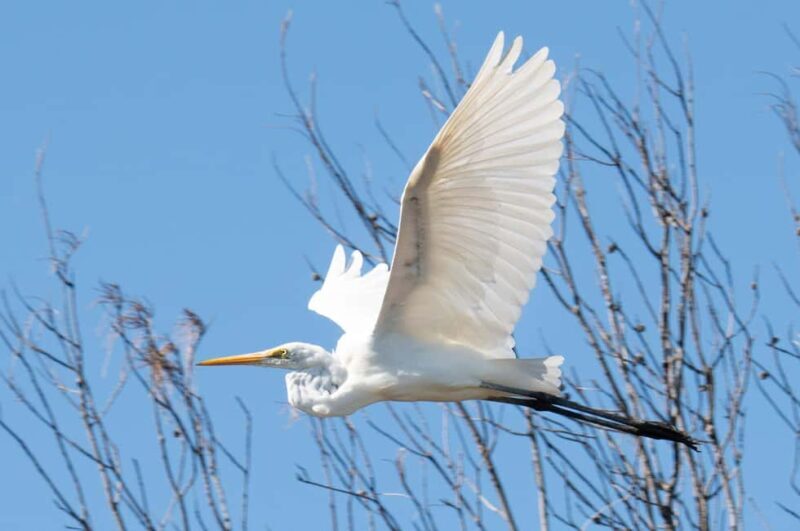 Kalbarri: Murchison River Wilderness Wildlife Cruise - Authentic Insights from Visitors
