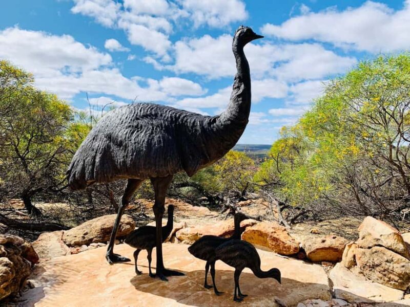 Kalbarri Skywalk Tour - A Closer Look at the Experience