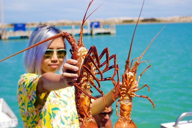 Kalbarri Stargazing Tour - Why This Tour Is Good Value