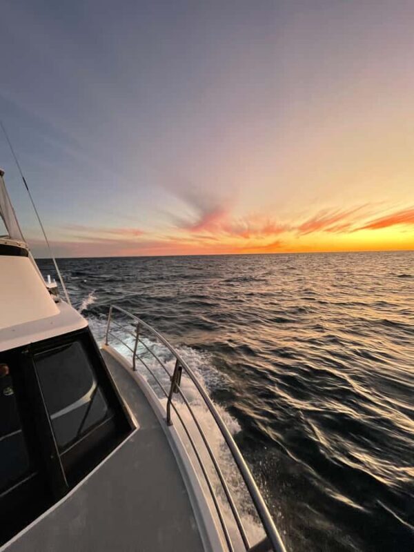 Kalbarri: Sunset Cliff Cruise with Wildlife Spotting - Key Points