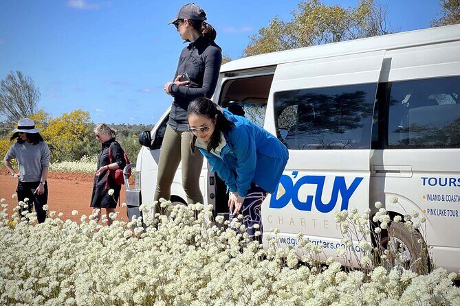 Kalbarri Wildflower Tour - Introduction: Why the Kalbarri Wildflower Tour Might Be Your Perfect Spring Escape
