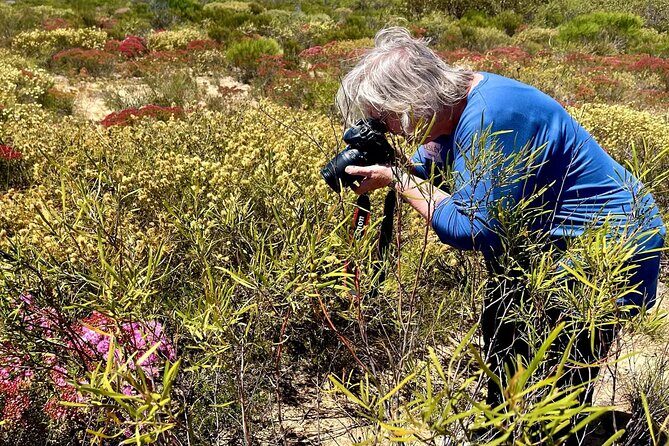 Kalbarri Wildflower Tour - Key Points