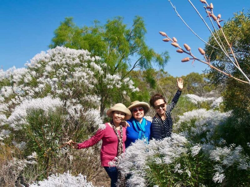 Kalbarri Wildflower Tour with Local Guide - The Wildflower Experience
