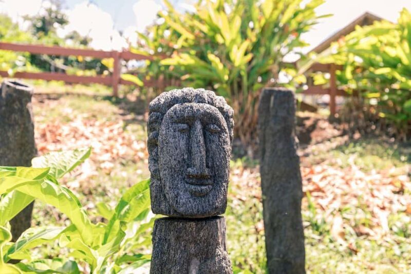 Kalinago Barana Aute Cultural Excursion - The Overall Experience: Pros and Cons