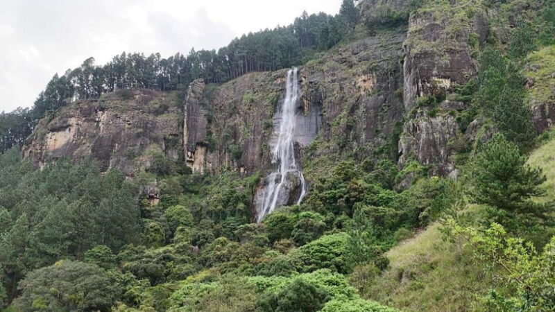 Kalupahana: Horton Plains Foothill Trail Guided Hike - What to Expect on the Trail