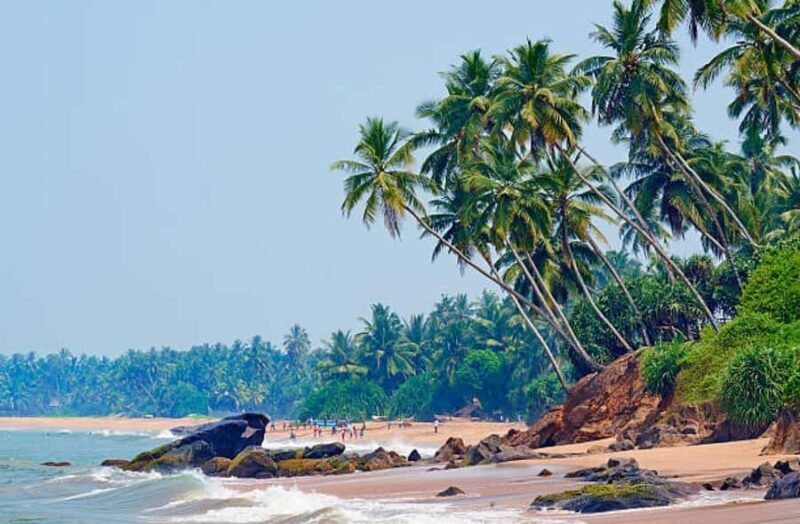 Kalutara: Private City Sightseeing Guided Tour by Tuk Tuk - Who Is This Tour Best For?