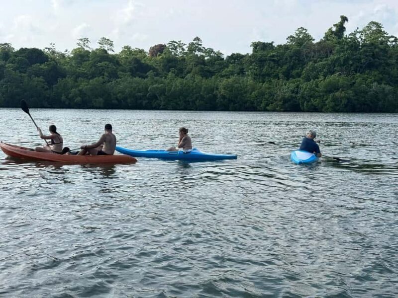 Kalutara/Wadduwa: Galle Fort, Koggala Lake Safari & Kayaking - The Sum Up