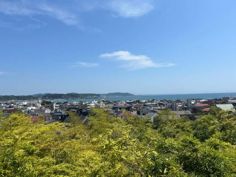 Kamakura and Enoshima: Local Flavors & Culture Walking Tour - Value for Money