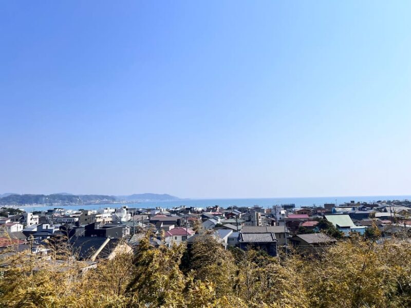 Kamakura and Enoshima: Private Guided Day Tour with Vehicle - A Deep Dive into the Experience