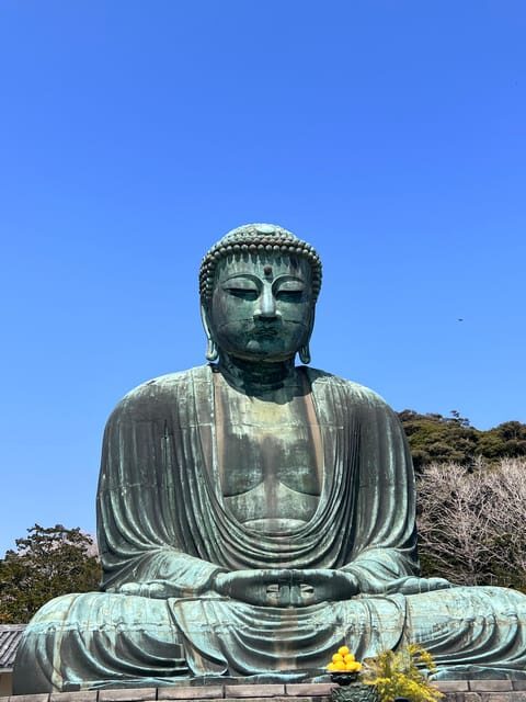 Kamakura and Enoshima: Private Guided Day Tour with Vehicle - FAQ