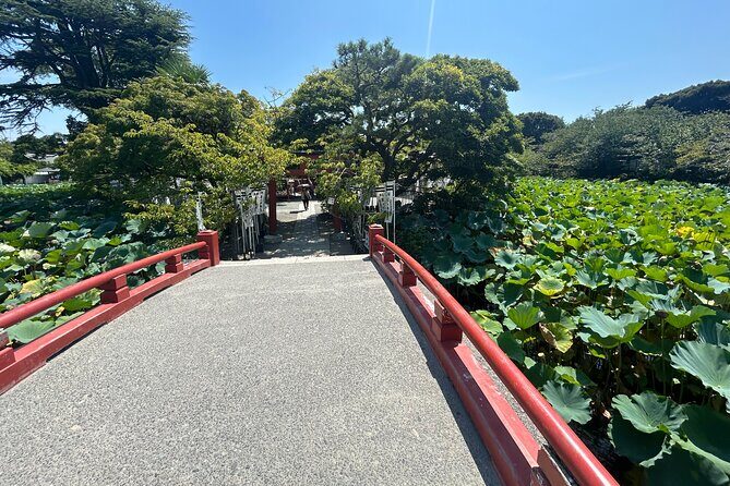 Kamakura and Enoshima Shared Walking Tour - Final Thoughts