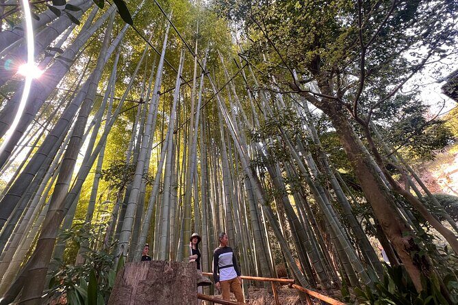 Kamakura and Enoshima Tour with Vehicle and Guide - A Closer Look at the Kamakura and Enoshima Experience