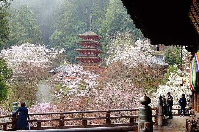 Kamakura and Yokohama Private Tour with Bilingual Chauffeur - Enoshima and Yokohama: Coastal and Cultural Highlights