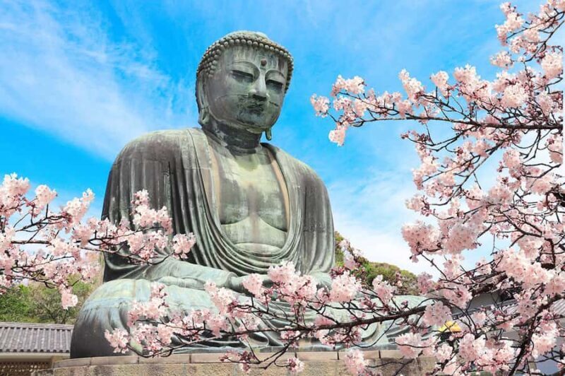 Kamakura: Cherry Blossom Full Day Tour with Expert Guide - Key Points