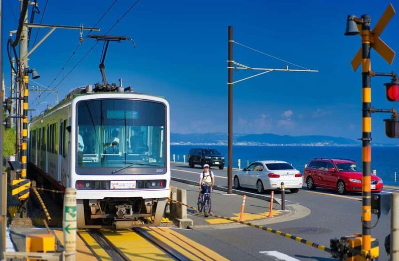 Kamakura: Cherry Blossom Full Day Tour with Expert Guide - Exploring Kamakura’s Cherry Blossom Splendor