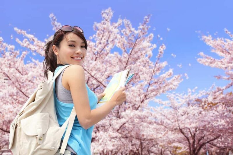 Kamakura: Cherry Blossom Full Day Tour with Expert Guide - Who Will Love This Tour?