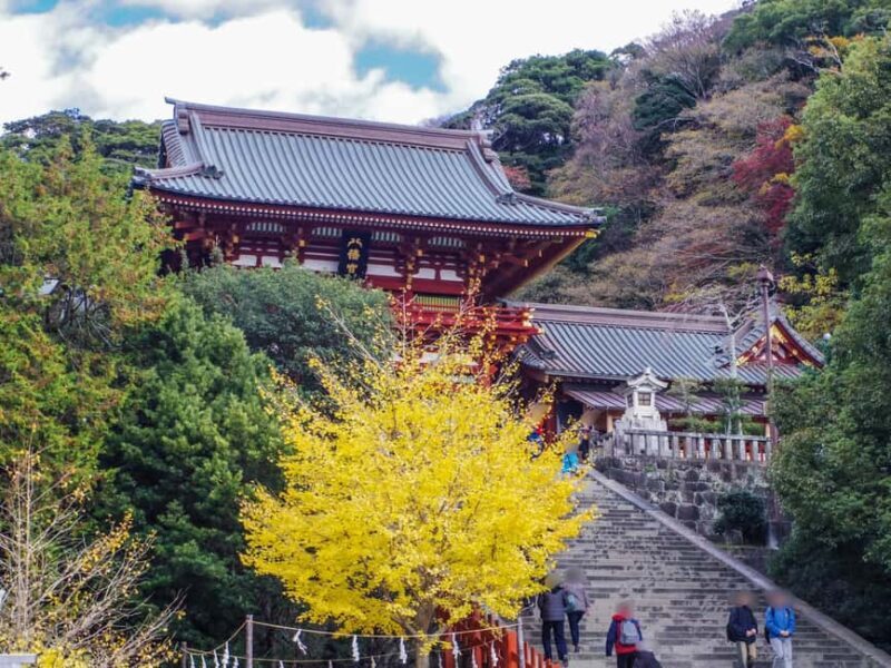 Kamakura: Customized Half-Day Tour with Professional Guide - An In-Depth Look at the Kamakura Private Tour