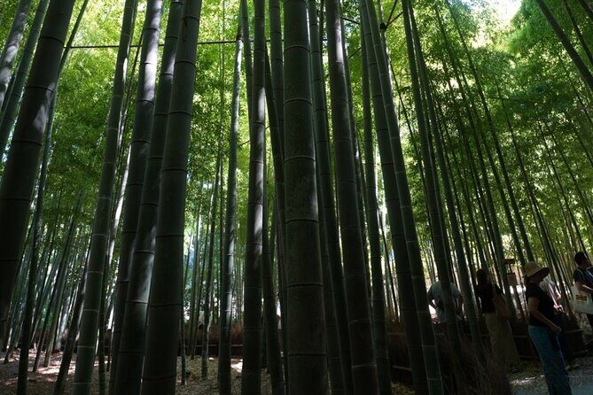 Kamakura Early Morning Tour (Tokyo Departure Option Available) - Final Thoughts