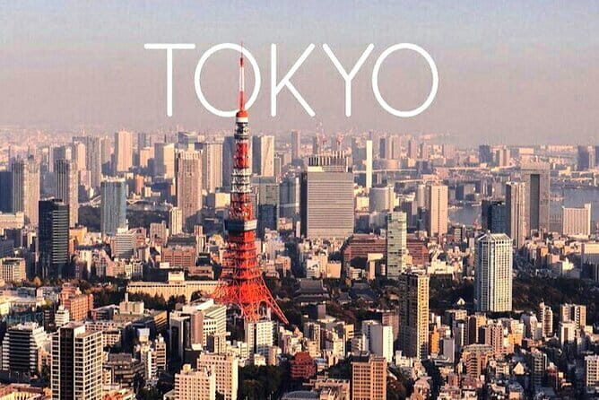 Kamakura Enoshima and Yokohama night view day Tour from Tokyo - Lunch and Free Exploration