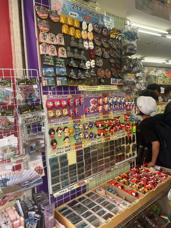 Kamakura: Explore the most famous street & get your favorite - Who should consider this tour?