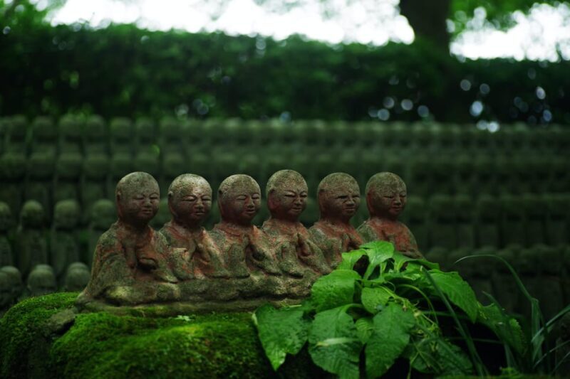 Kamakura Full-Day Private Tour from Tokyo (Customizable) - Who Will Love This Tour?