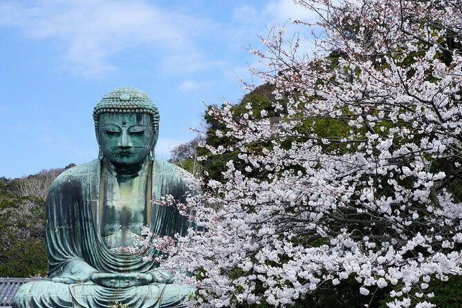 Kamakura Full Day Tour: Kotoku-in & Enoshima & Hachimangu Shrine - FAQs: Your Practical Questions Answered