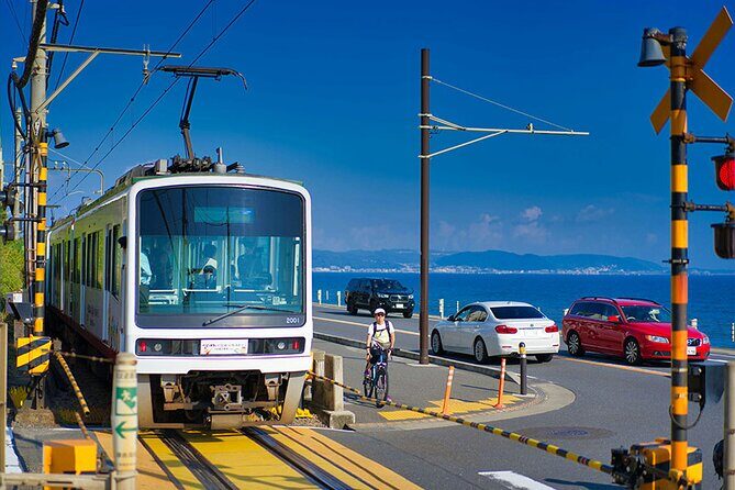 Kamakura Full Day Walking Tour with Local Expert Guide and Pickup - Who Will Love This Tour?
